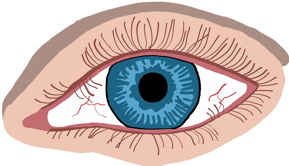 Trichiasis vs Distichiasis