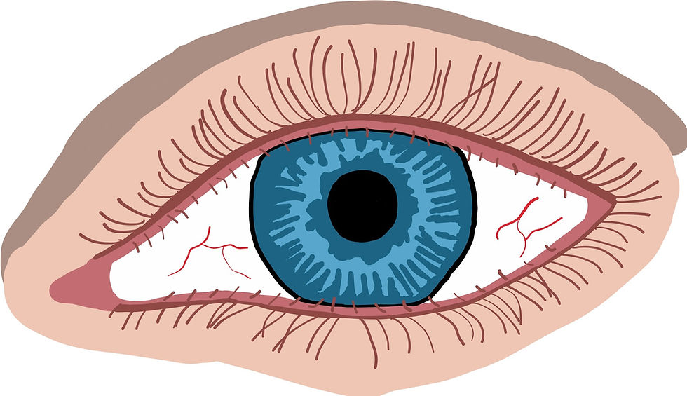 Trichiasis vs Distichiasis