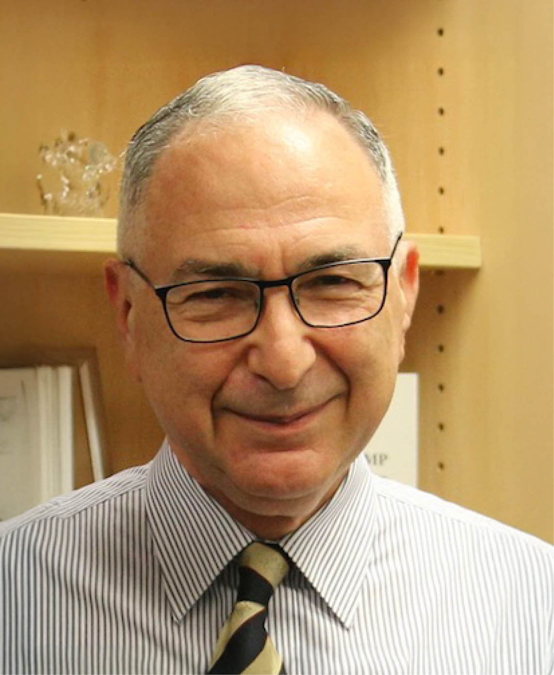 Emeritus Professor Jeffrey Rosenfeld AC OBE | Neurotech and Law