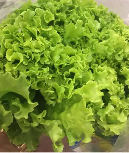 Lettuce Green Ice (1kg) | Konverge Sweets