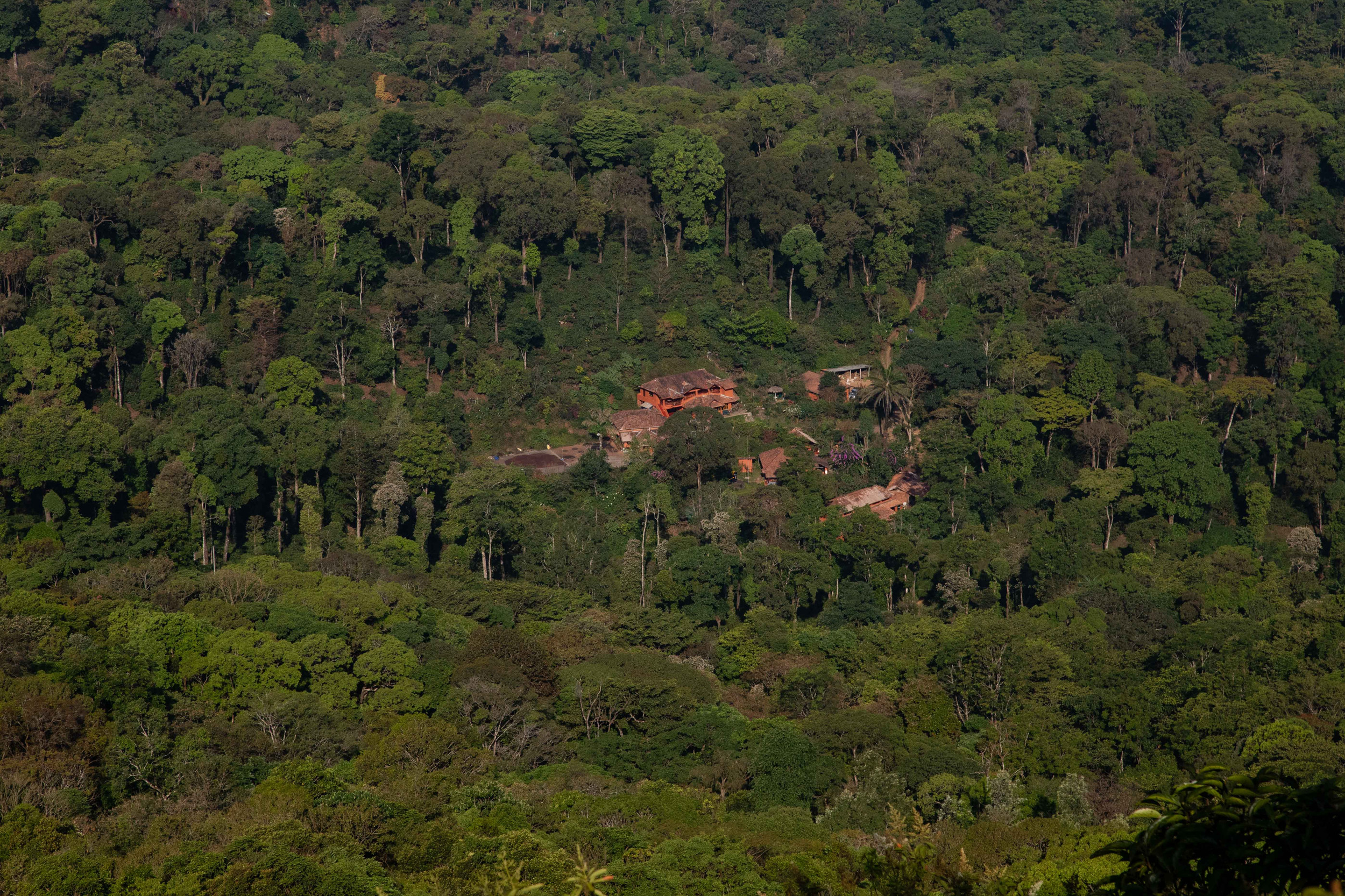 Honey Valley - The Most Recommended Home Stay in Coorg