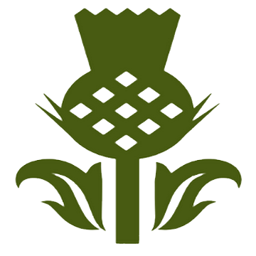 Home | Sally Cimini Law & Mediation, LLC