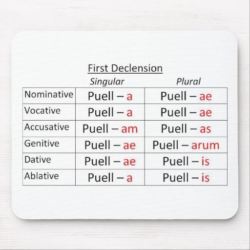 prva ili a deklinacija