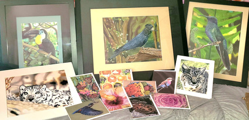 All Products | Tracey Chaykin Fine