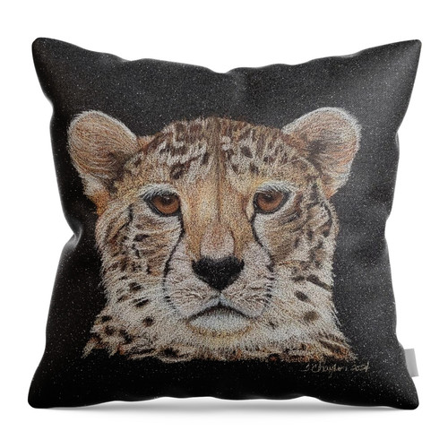 "Fast Fashion" Throw Pillows | Tracey Chaykin Fine