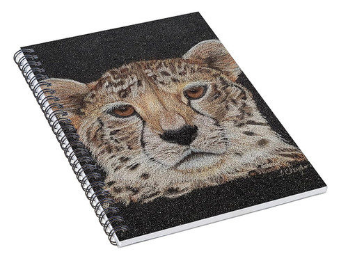 "Fast Fashion" Notebook | Tracey Chaykin Fine