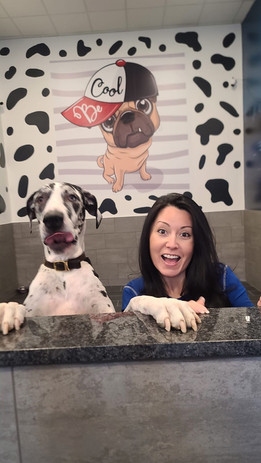 DOGGIE VIP, For your Very Important Pet, Philly Riverwalk