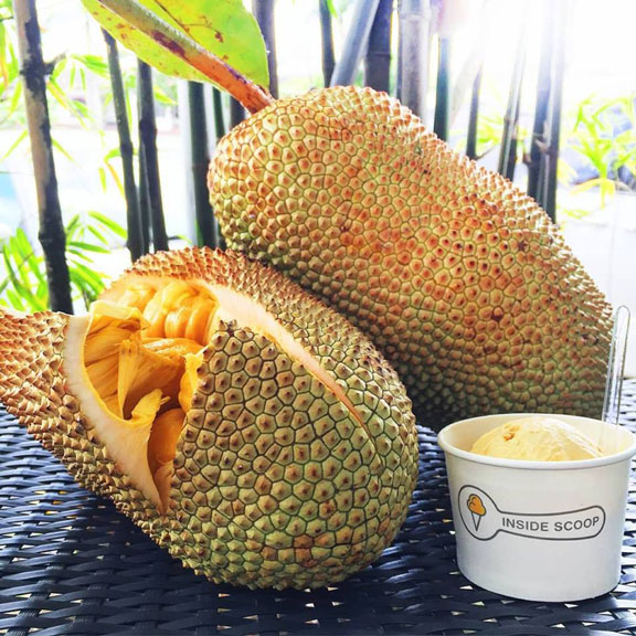 Inside Scoop | Malaysia