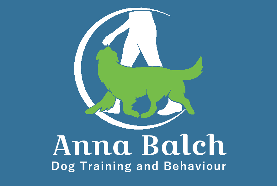 Dog Training Tips & Advice | Anna Balch Dog Trainer