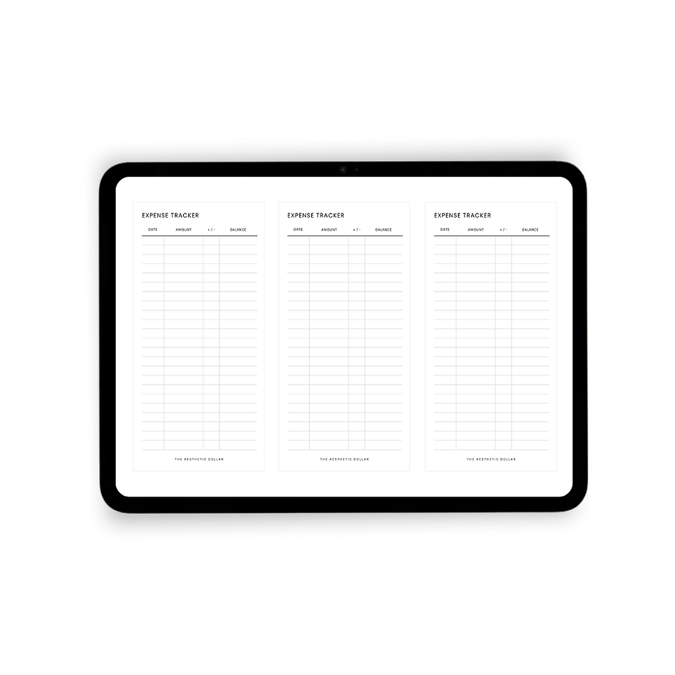 Expense Tracker - Digital Download | The Aesthetic Dollar