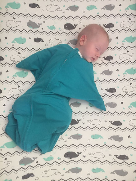 Family Sleep Institute's: Baby and Child Sleep Blog - Family Sleep ...