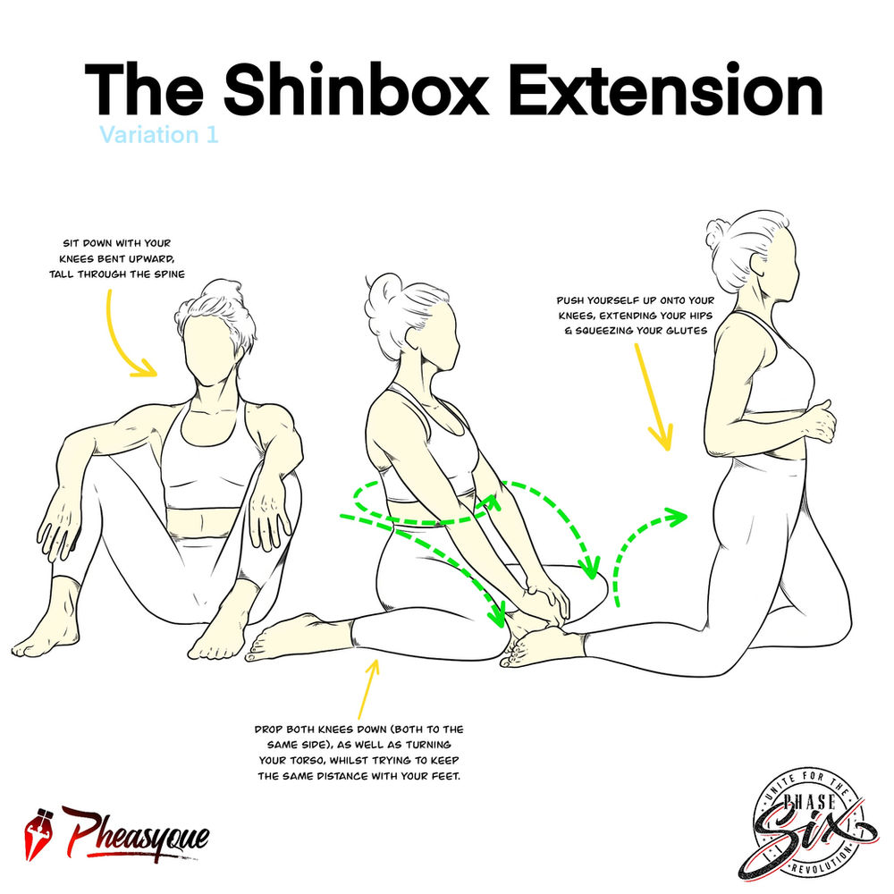 Top 3 Mobility Drills for Beginners! - Phase SiX