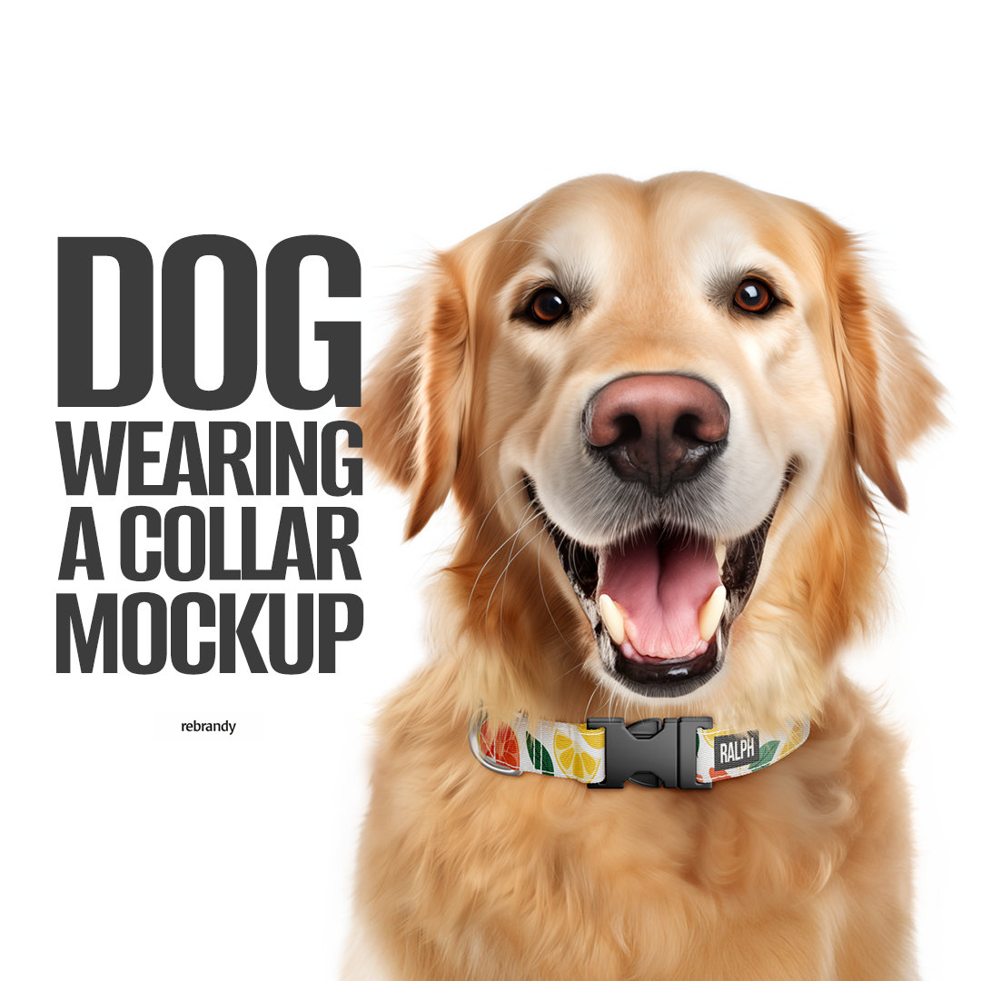 Dog Wearing a Collar Mockups - Mock Up by rebrandy for Photoshop ...