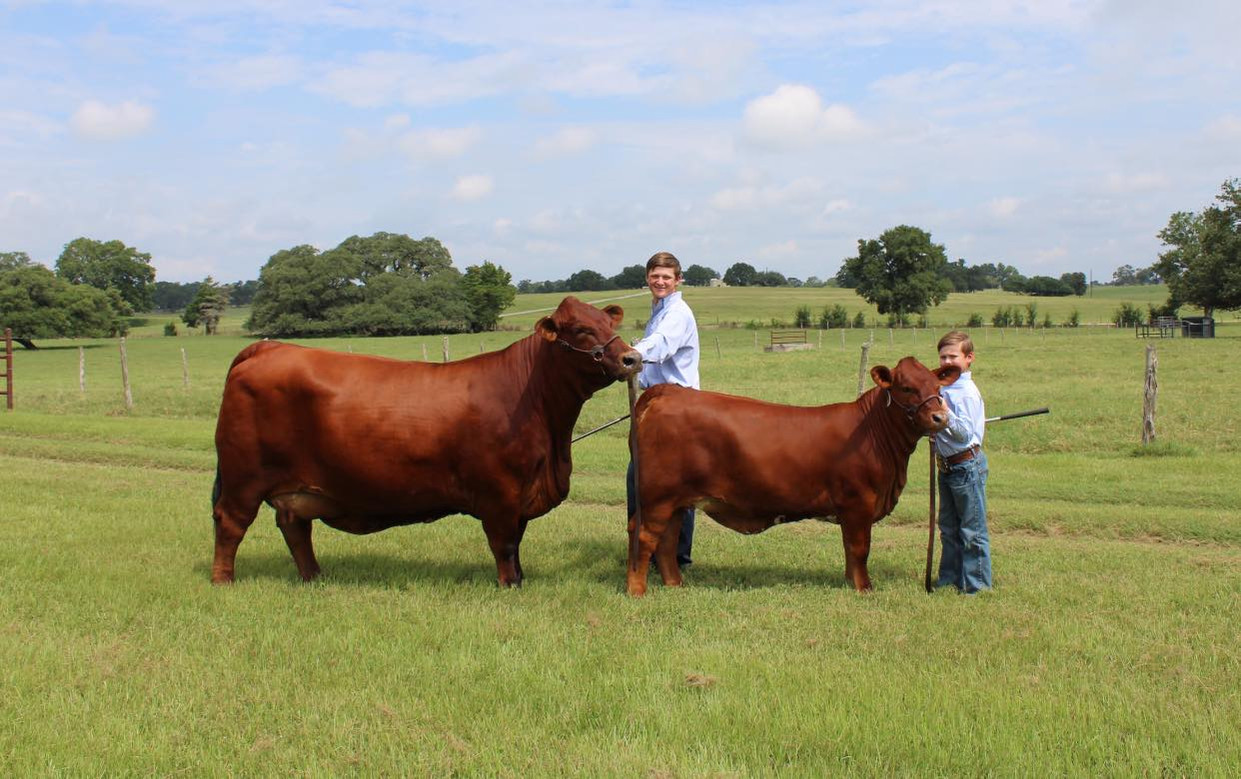 HOME | Collier Farms