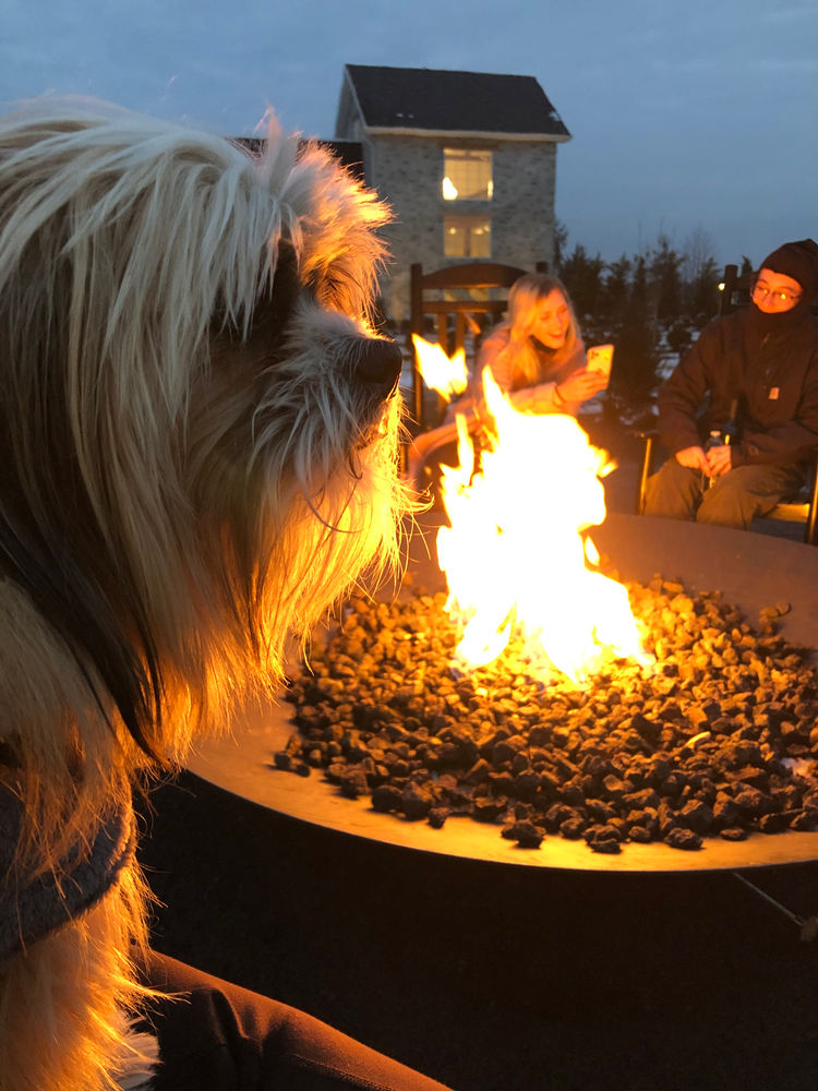 Pups, Kids, Wine: Vintner Wonderland, Renault Winery until Feb. 28