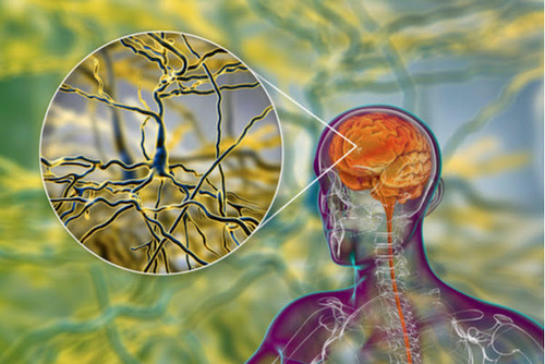 Neurofeedback100 | BioSource Software