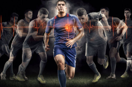 Hrv Biofeedback100 Biosource Software