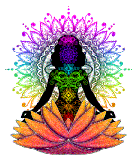 Reiki | Divine Life Manna | Wellness