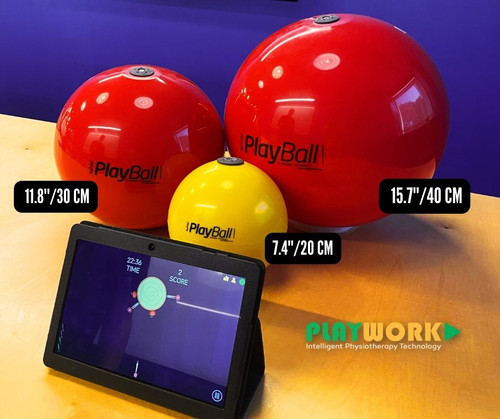 PLAYBALL BASIC : Business Edition (#50 user license). | PLAYWORK