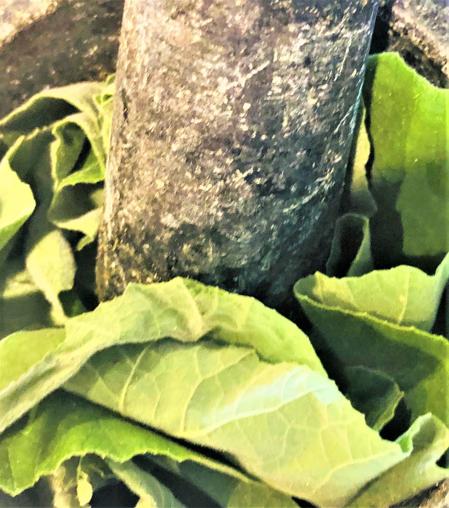 AKOSE: IFA MEDICINES