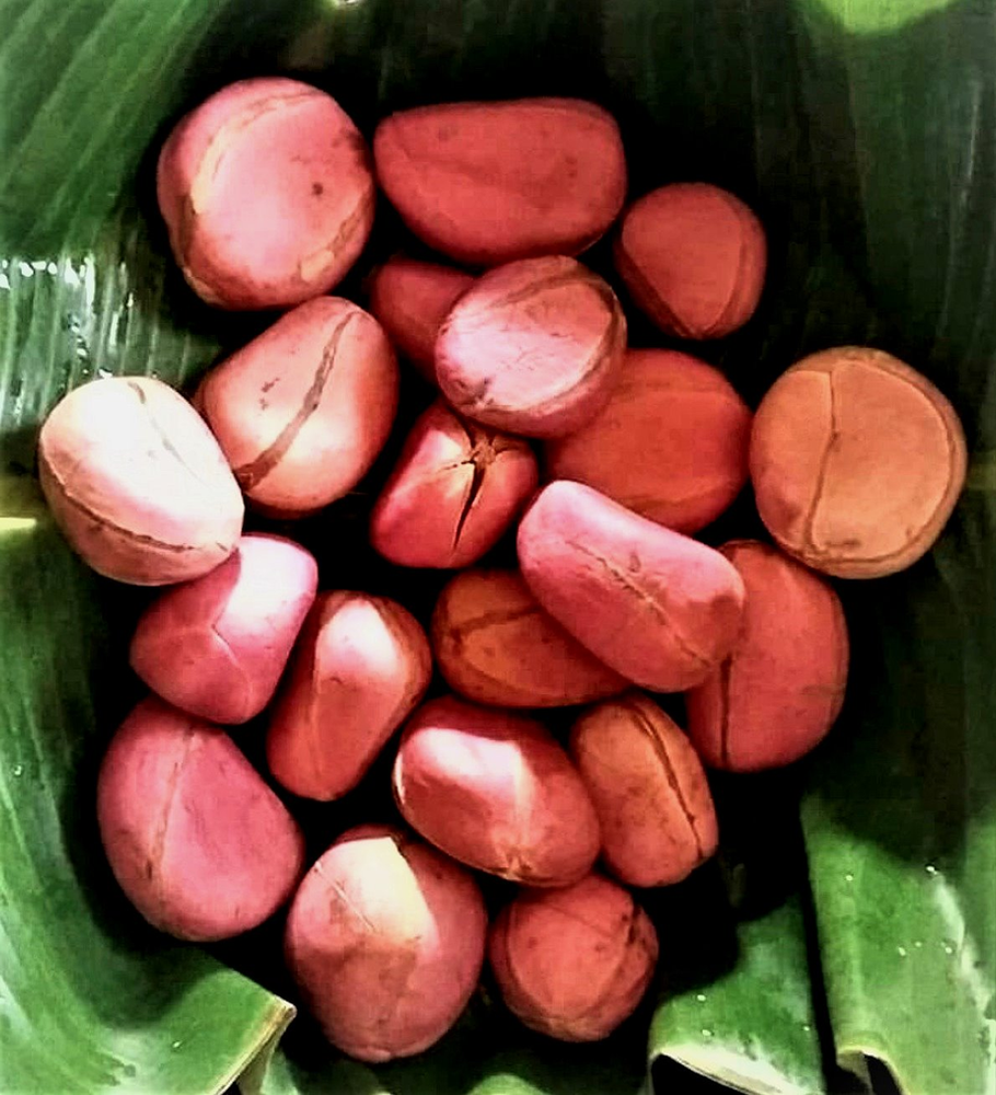 OBI ABATA (KOLA NUT)