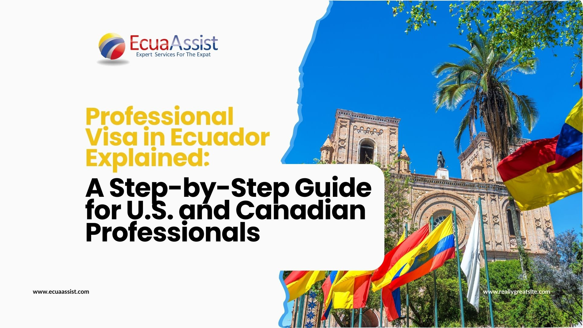 Professional Visa in Ecuador Explained: A Step-by-Step Guide for U.S ...