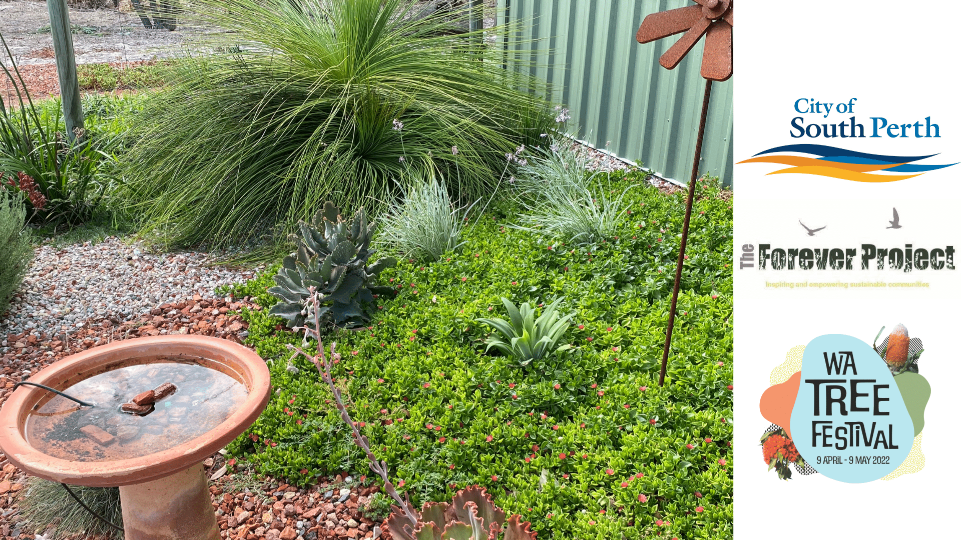 Biodiversity – Coexisting with Nature - Yes we can! | The Forever Project