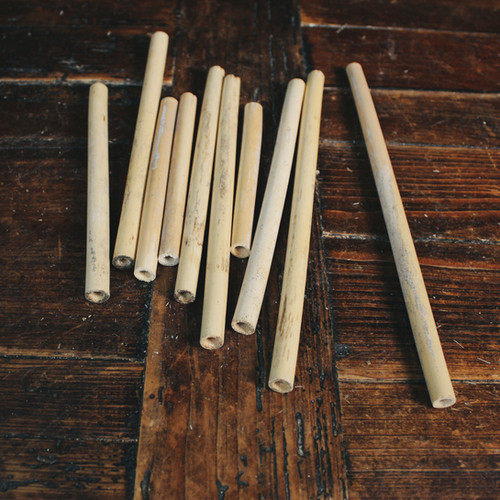 Ø 10.0-10.5 mm. L>120 mm. wgt. 100 g | Cane Guru