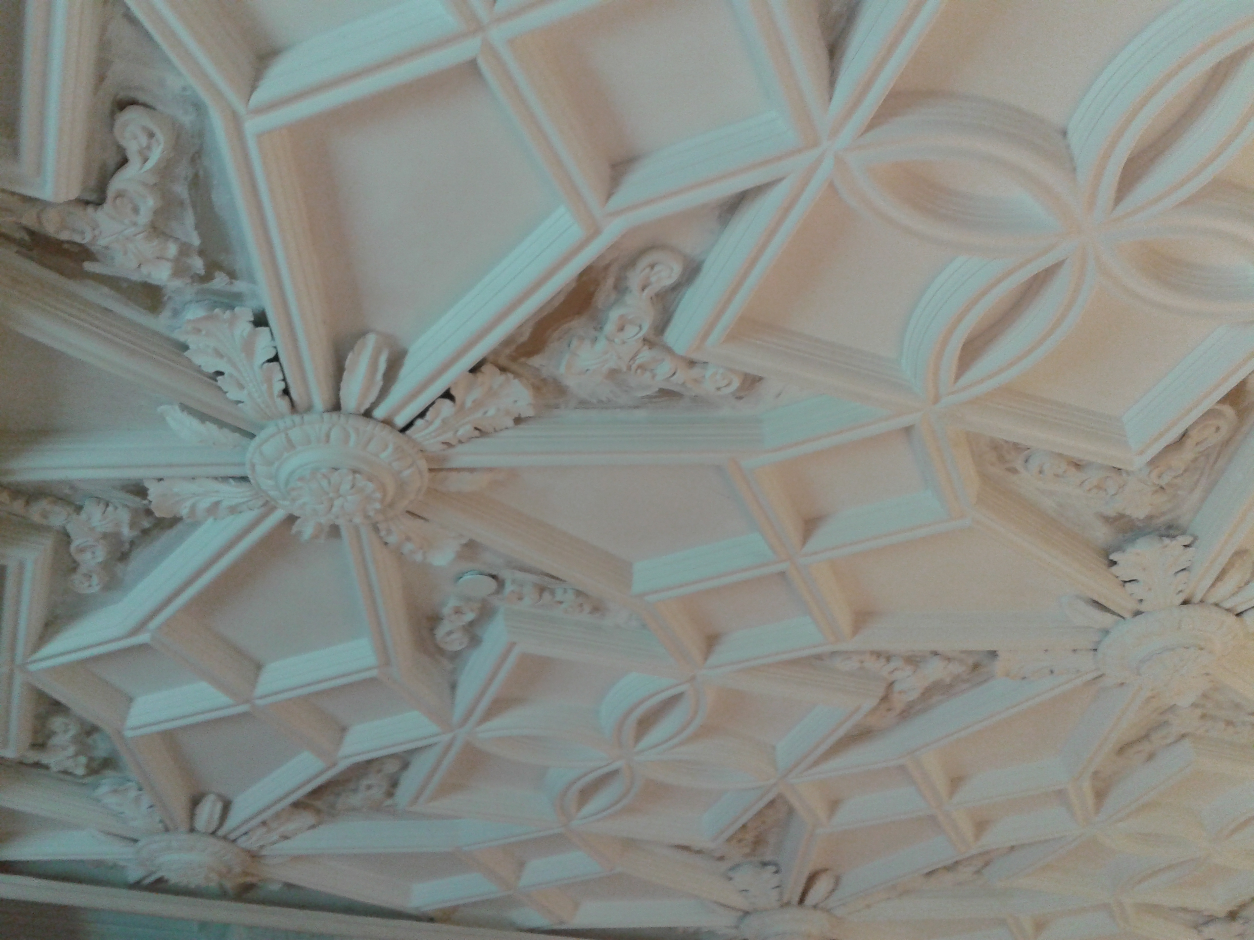 Panel Ceilings | SurreyCorniceSite