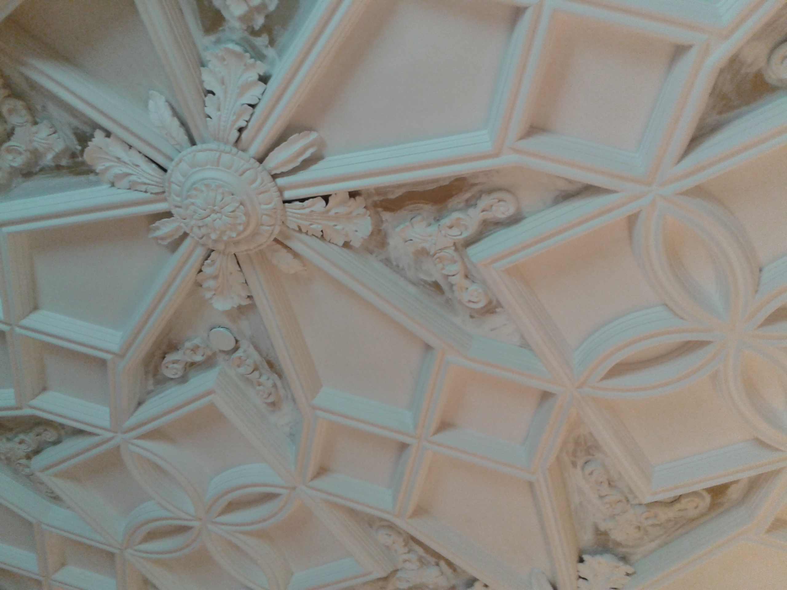 Panel Ceilings | SurreyCorniceSite