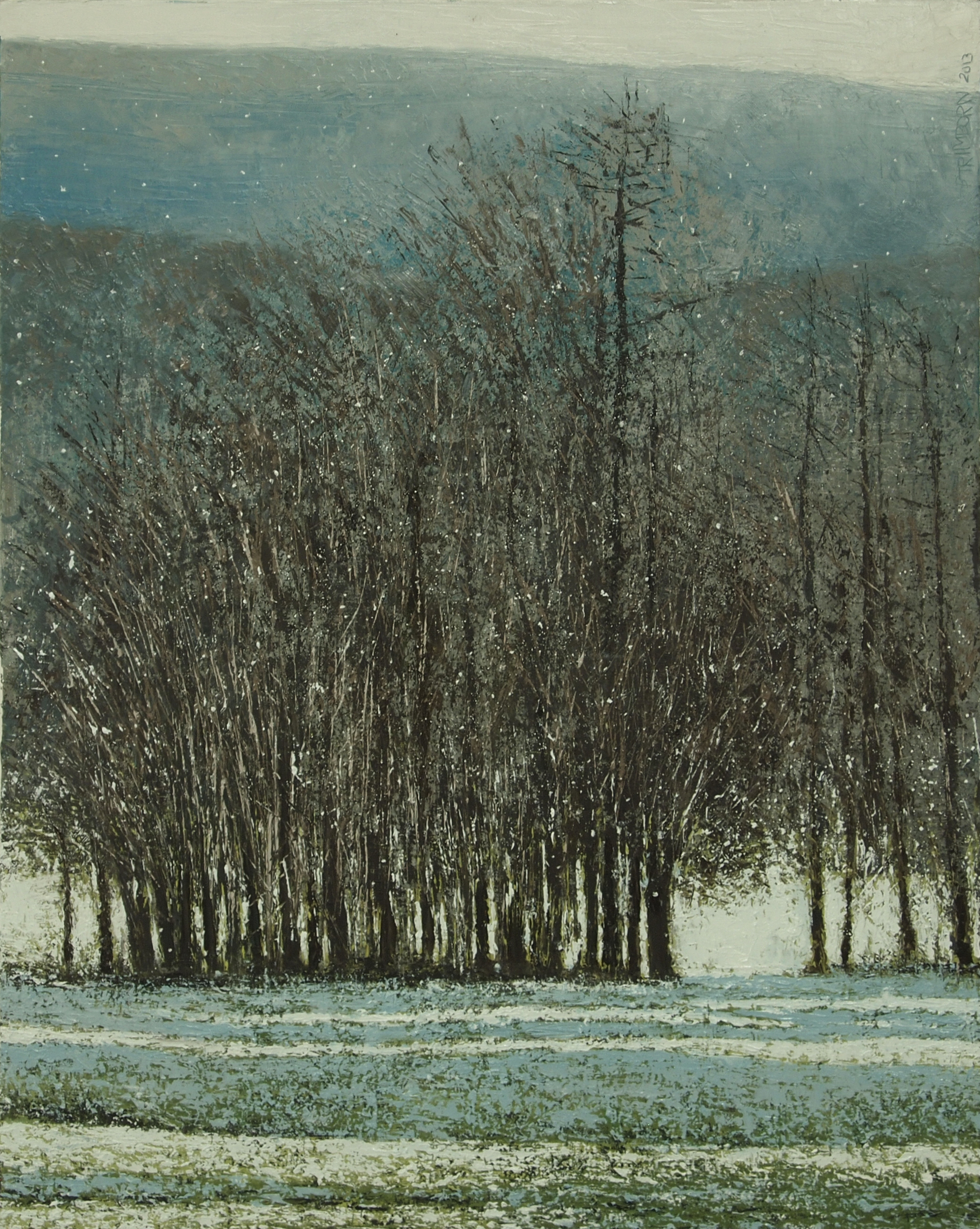 Peinture | Benoit TRIMBORN | Strasbourg