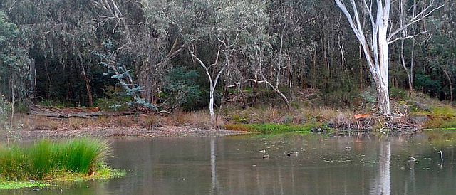 Alphington Park | middleyarraparklands