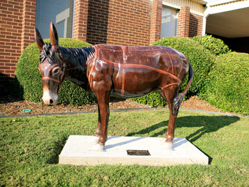 50 Mule Team | Arts Alliance