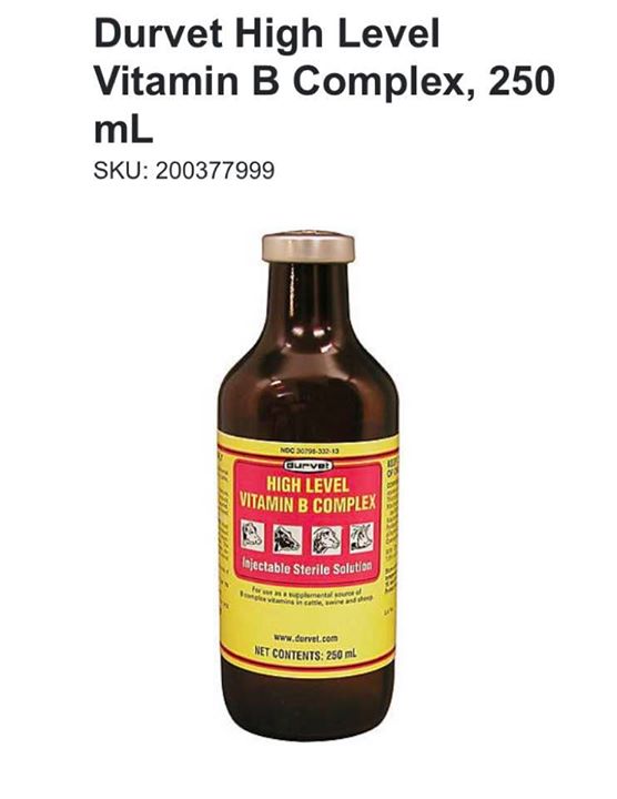 Everything You Need To Know About Raising Healthy Ducklings