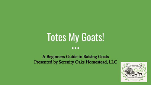 Totes My Goats! A Beginners Guide To Raising Goats | Serenity Oaks ...