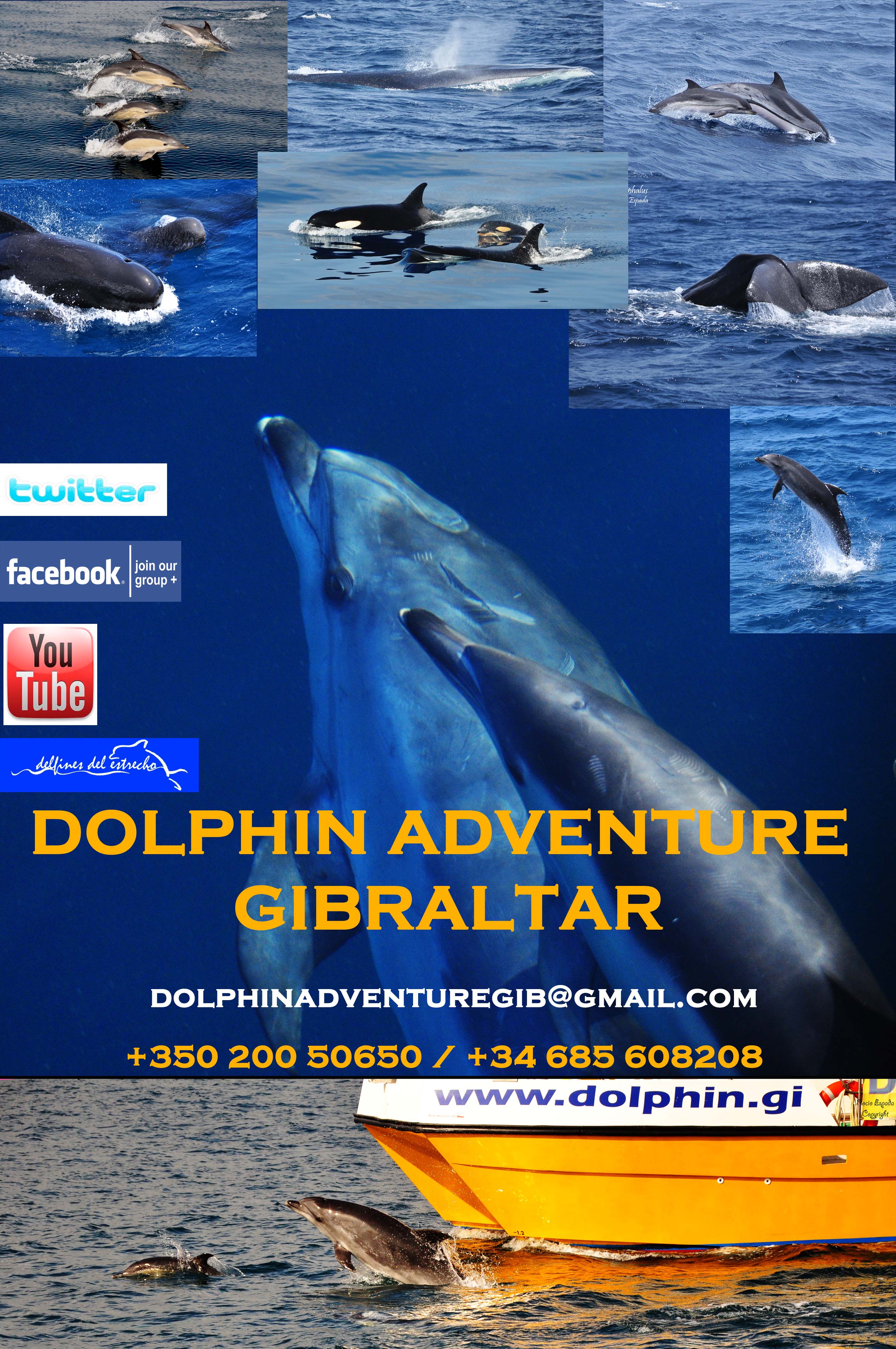 About Us | dolphin-adventure