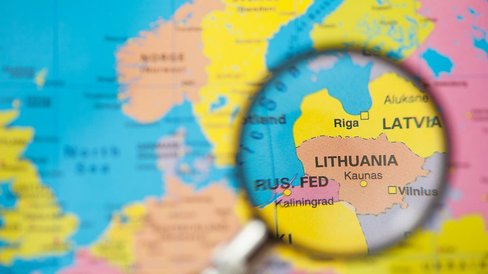 BEST of Kaunas - The Walking Parrot