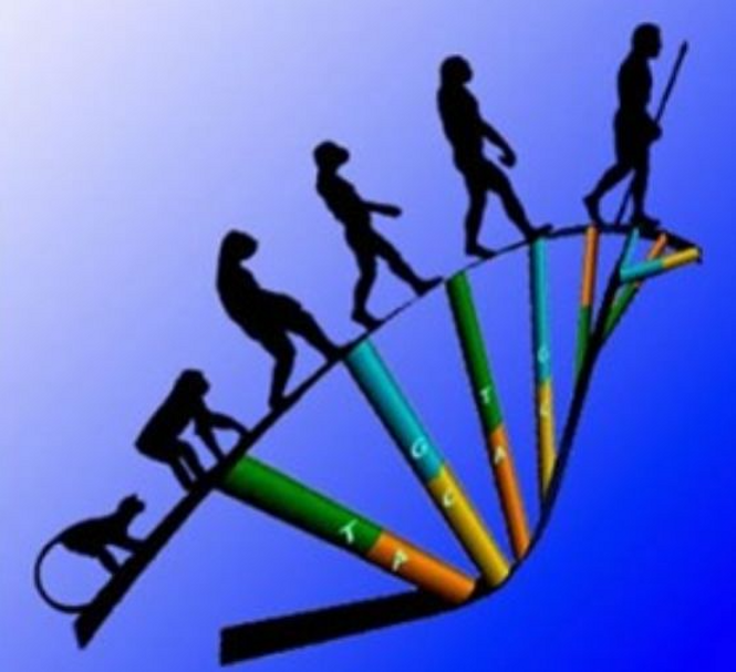 The Gene Trade: Making the Market for Gene-altering Interventions and ...