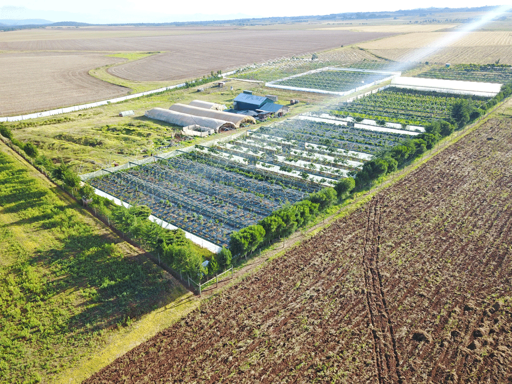 Farm Tours | Tamalu Farm