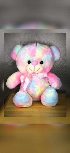 Rainbow pastel teddy bear | Bloomsway Flowershop