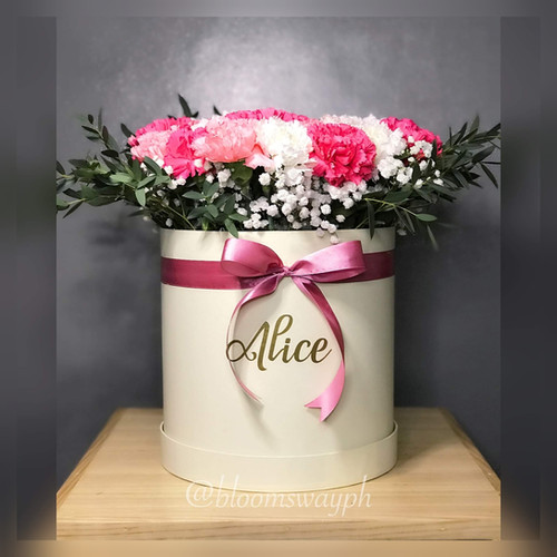Tri-colored Blush Carnations in a Tub | Bloomsway Flowershop