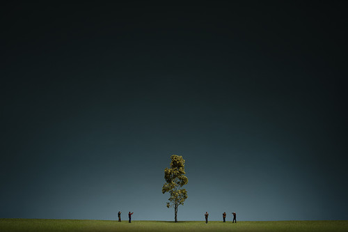 (in collaboration with Rick Reimer) Vicarious Nature, 2023 | HK Gallery