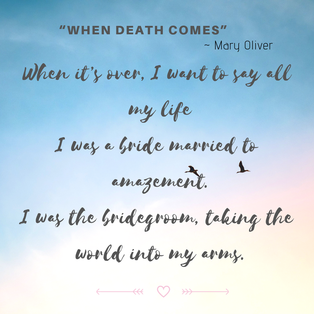 Mary oliver when death comes. Analysis of When Death Comes by Mary ...