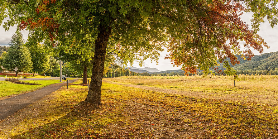 Tours | Linga Longa In Yarrawonga | Yarrawonga