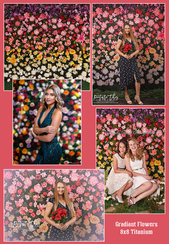 Photography Background 8x8 Colorful Rainbow Flower Wall | picturethismn