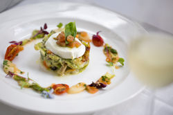 HOME | Zenzero Group