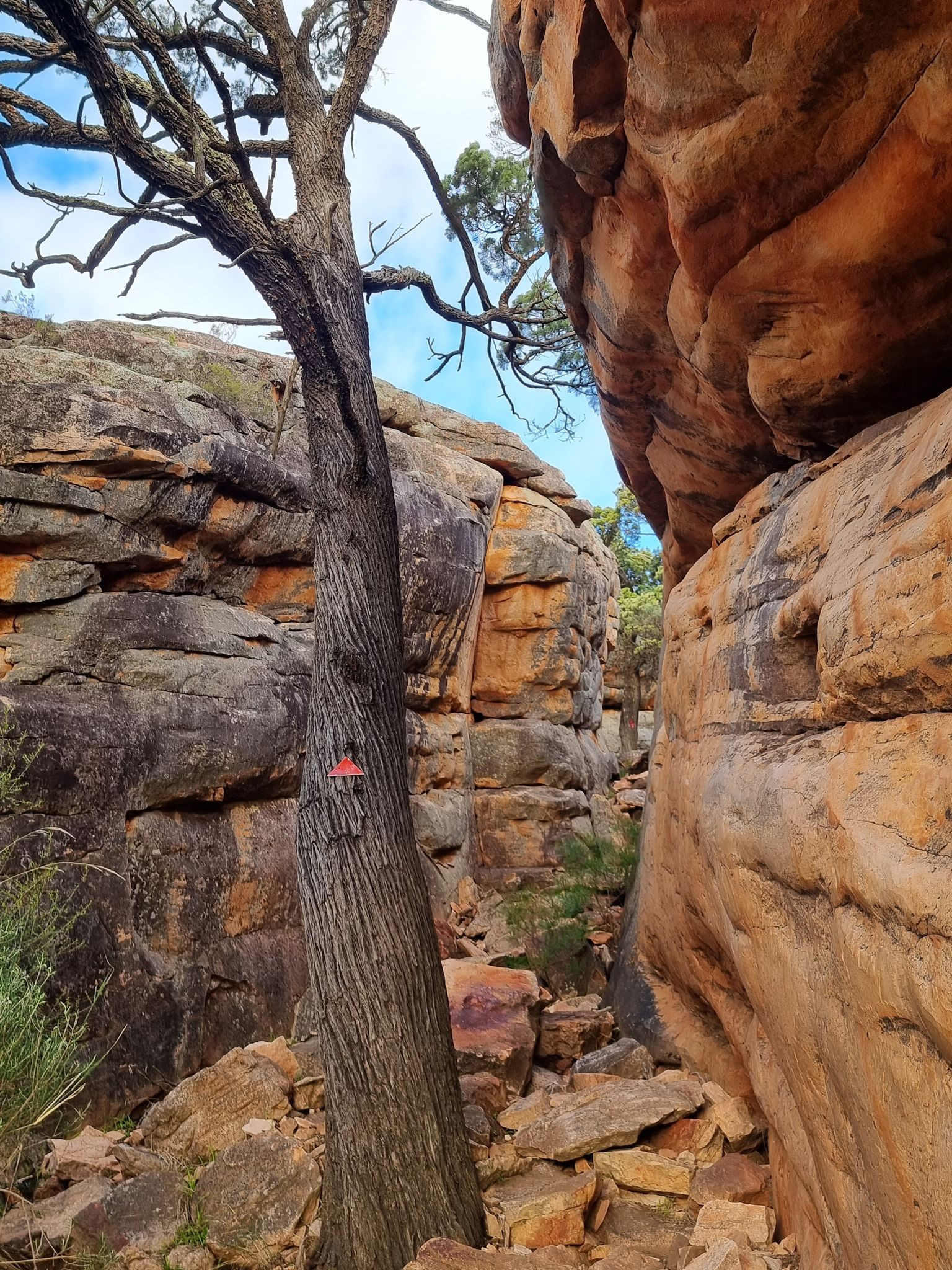 Devil's Peak Walking Trail (2.4 KM) | A Hiker's Friend