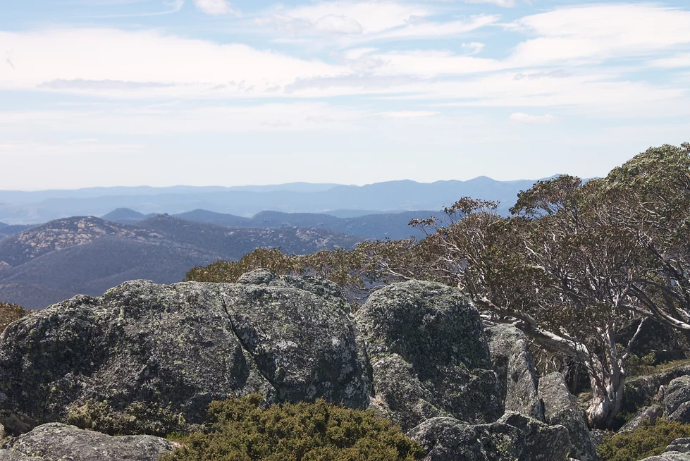 Mount Gingera Summit Walk (20 KM) | A Hiker's Friend