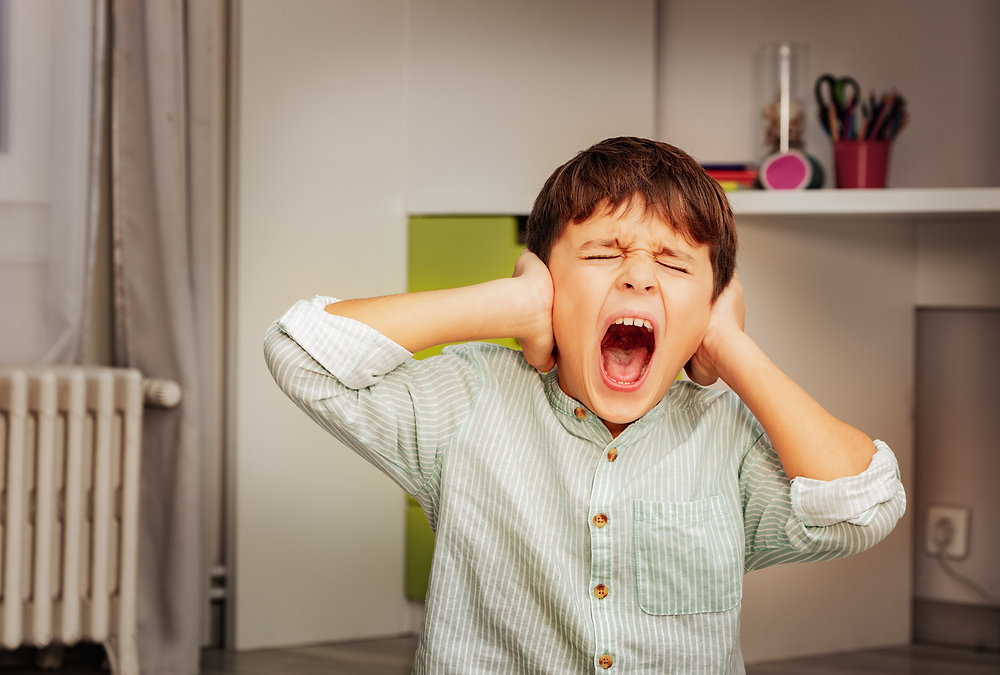 Understanding Sensory Sensitivities in Individuals with Autism Spectrum ... Understanding Sensory Sensitivities in Individuals with Autism Spectrum ...