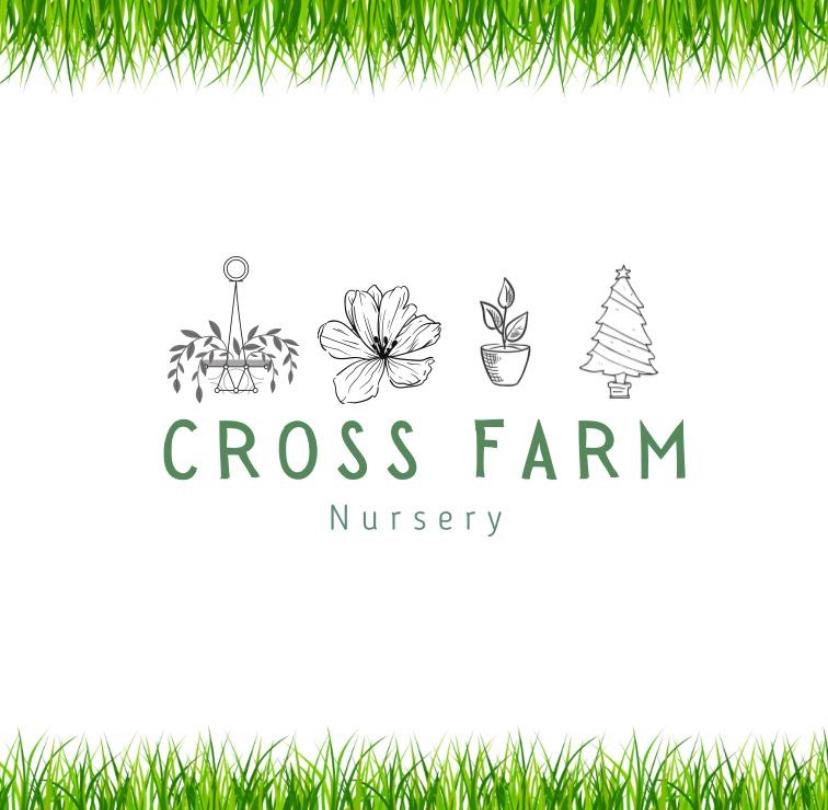 Cross Farm Nursery | Garden Nursery | Cross Farm Nursery, Pentre ...